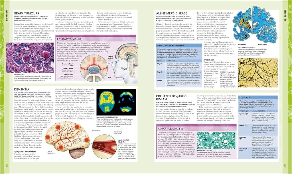 The Human Brain Book: An Illustrated Guide to its Structure, Function ...